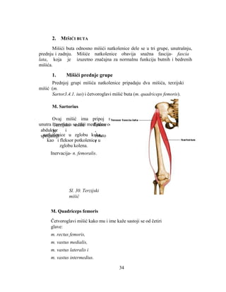 Svi misici | PPT