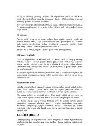 Svi misici | PPT