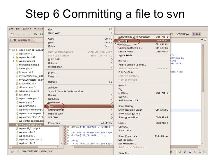 How to setup Svn in system