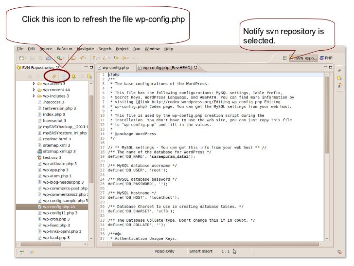 How to setup Svn in system