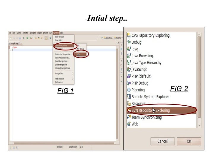 How to setup Svn in system