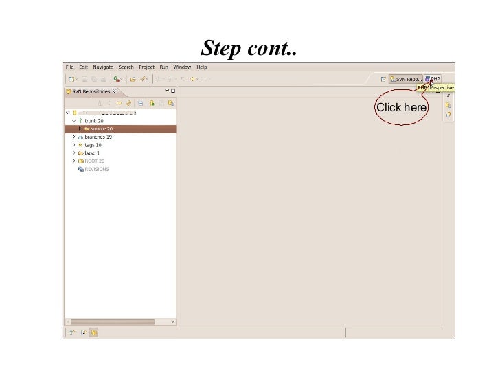 How to setup Svn in system