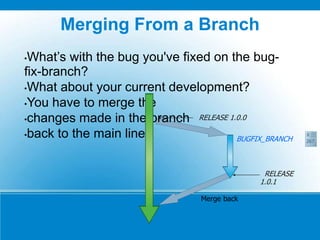 SVN Information | PPT