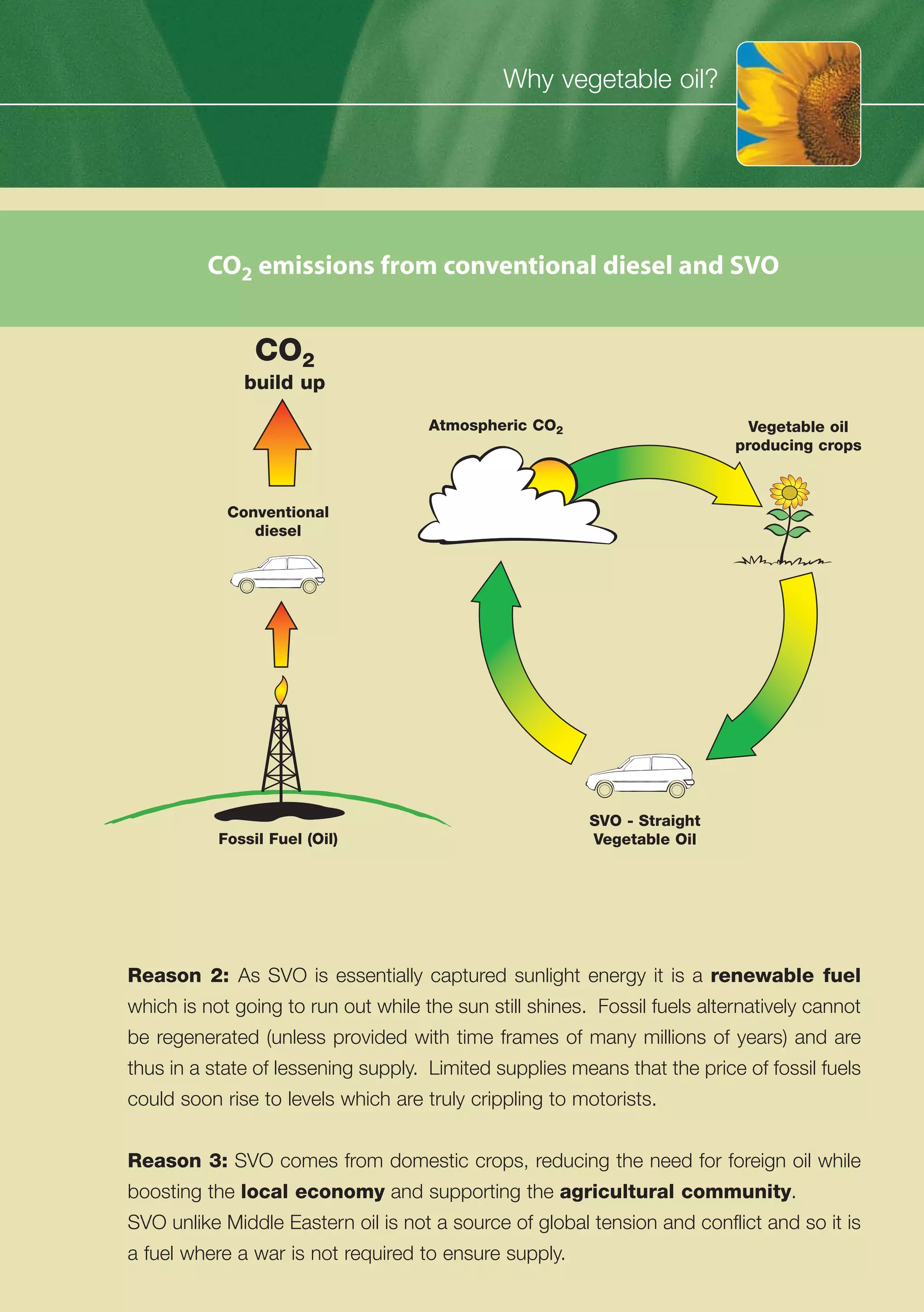 Straight Vegetable Oil: The Carbon Neutral Fuel | PDF | Gasoline Prices ...