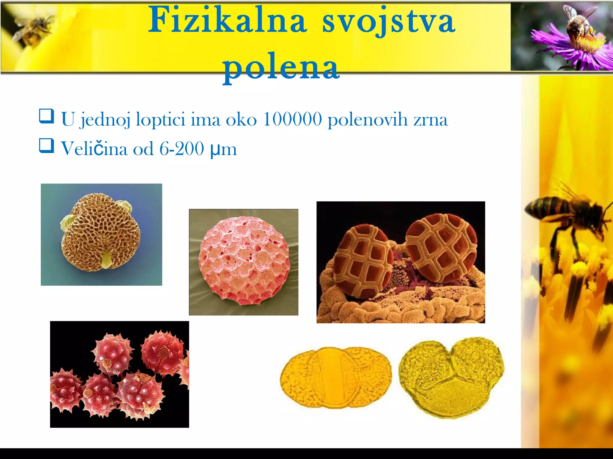 Svojstva i primjena polena | PPT