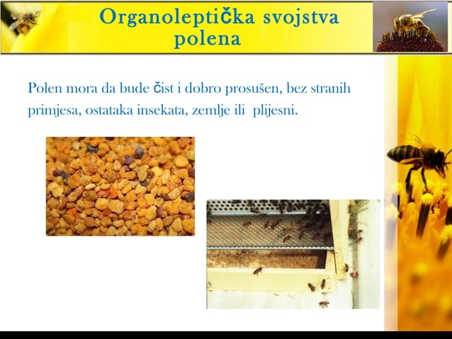 Svojstva i primjena polena | PPT