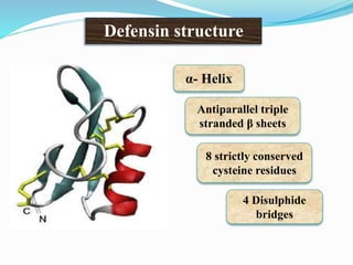 Defensins: Antimicrobial peptide for the host plant resistance | PPTX