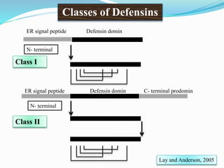 Defensins: Antimicrobial peptide for the host plant resistance | PPTX