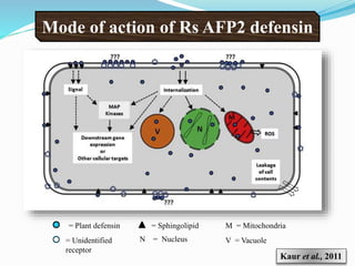 Defensins: Antimicrobial peptide for the host plant resistance | PPTX