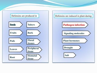 Defensins: Antimicrobial peptide for the host plant resistance | PPTX