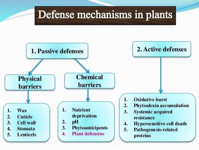 Defensins: Antimicrobial peptide for the host plant resistance