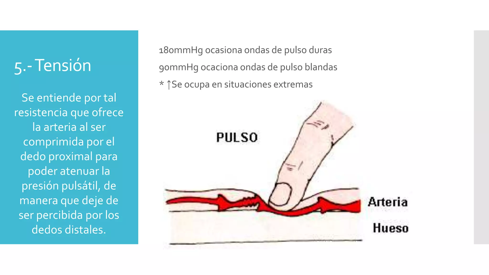 Signos vitales, pulso | PPTX