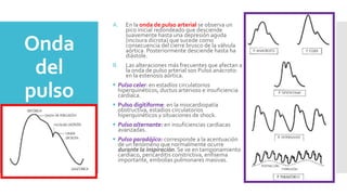 Signos vitales, pulso | PPTX