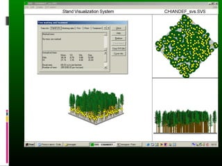 FVS Training Bolzano 6/9 | PPT