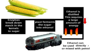 Solvent production | PPTX