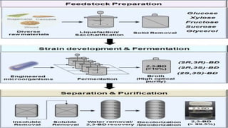 Solvent production | PPTX