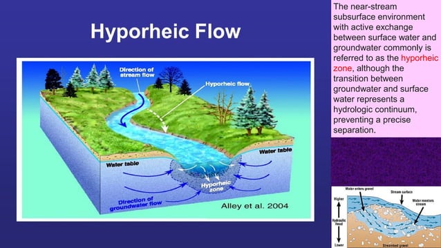 Surface Water And Groundwater Interaction Pdf