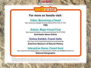 fossils | PPT
