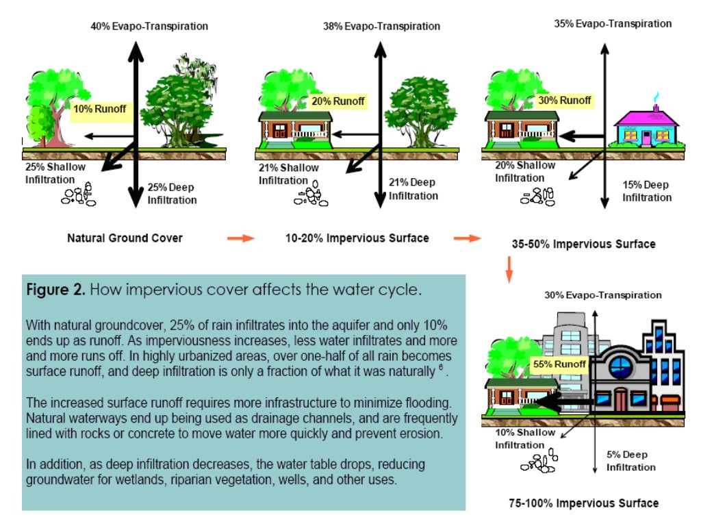 Urban Runoff - Storm Water 101