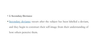 SW Reviewer Labelling Theory Education. | PPT