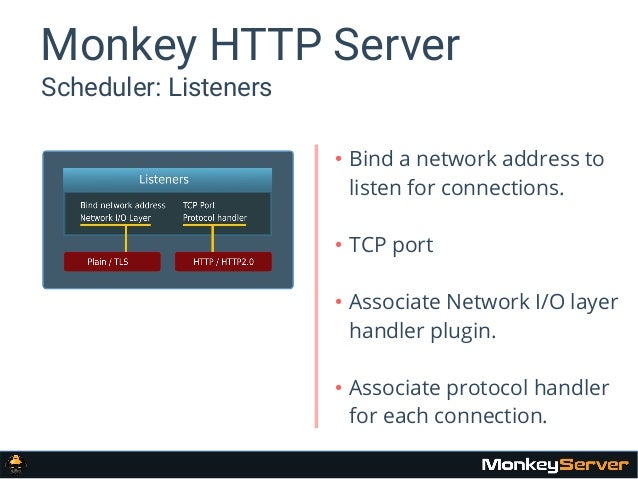 Monkey Server