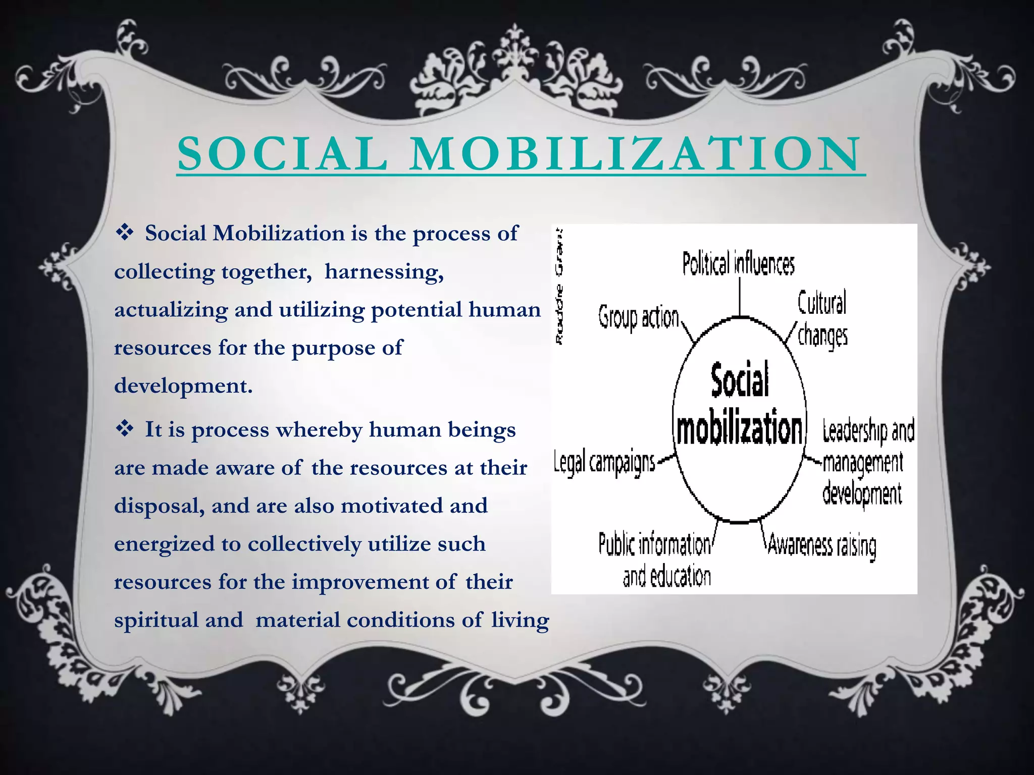 role of voluntary organisation | PPTX