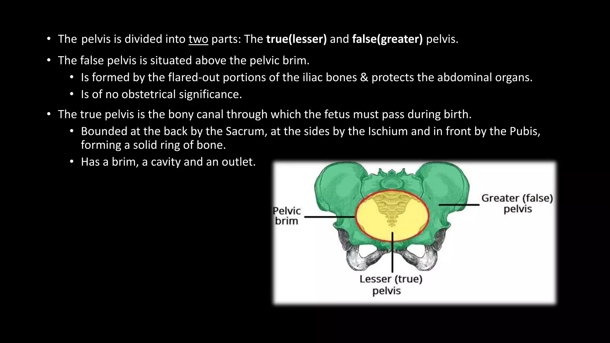 Pelvic Bones Anatomy-Male vs Female Pelvis | PPTX