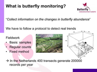 Swaay butterfly monitoring analysis | PPT