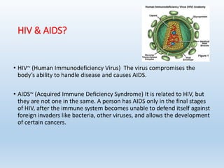 hiv | PPT