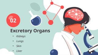 Swagata Sarkar Biology Excretory System Documentation.pptx