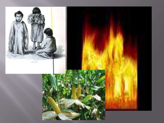 Indian Captive | PPTX