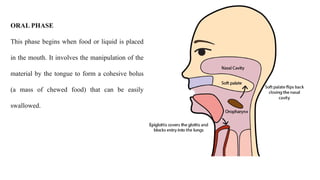 Swallow Reflex Pptx Physiology Lectures Ppt