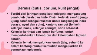 Swamedikasi Penyakit Kulit_Kel 1-1.pptx