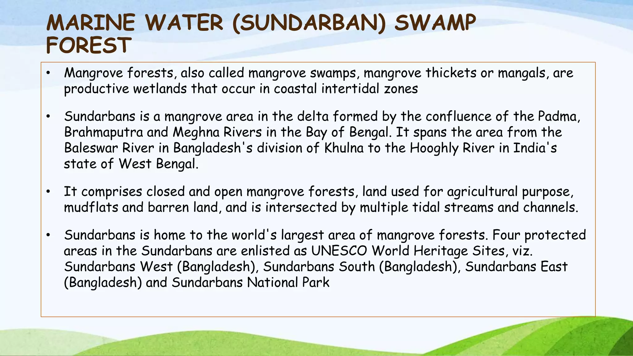 SWAMP FORESTS OF BANGLADESH.pptx