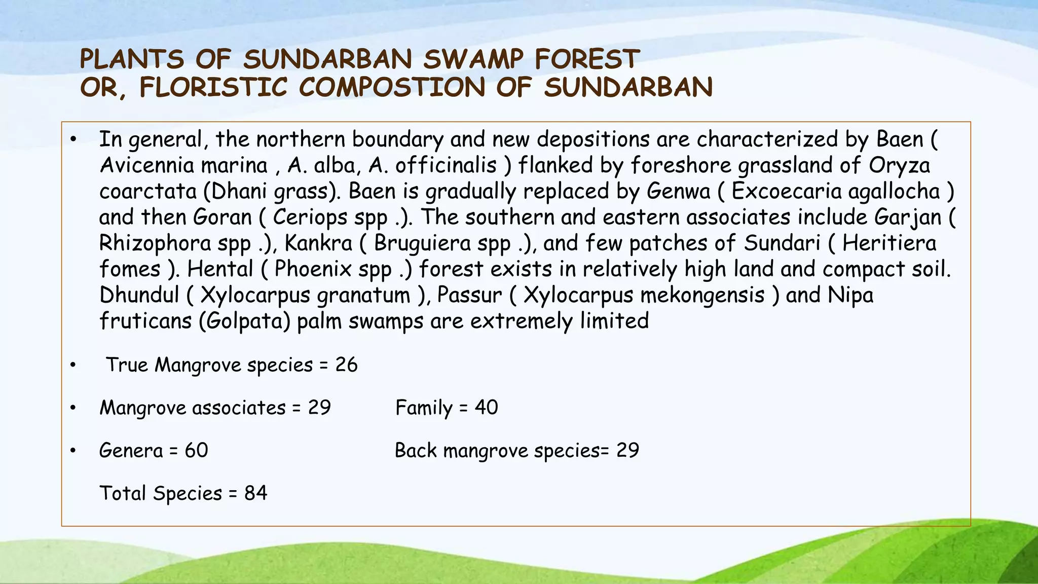 SWAMP FORESTS OF BANGLADESH.pptx