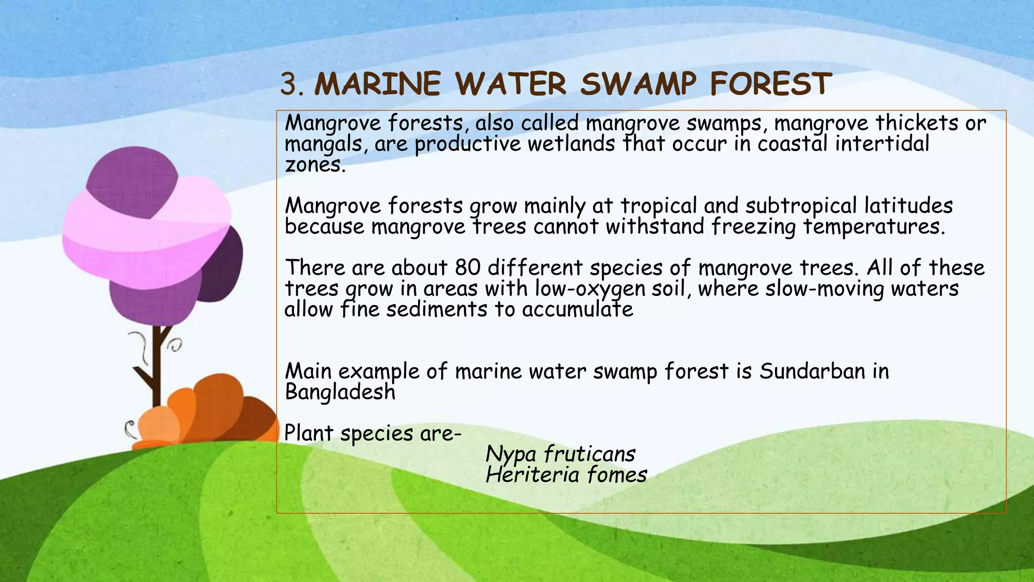 SWAMP FORESTS OF BANGLADESH.pptx