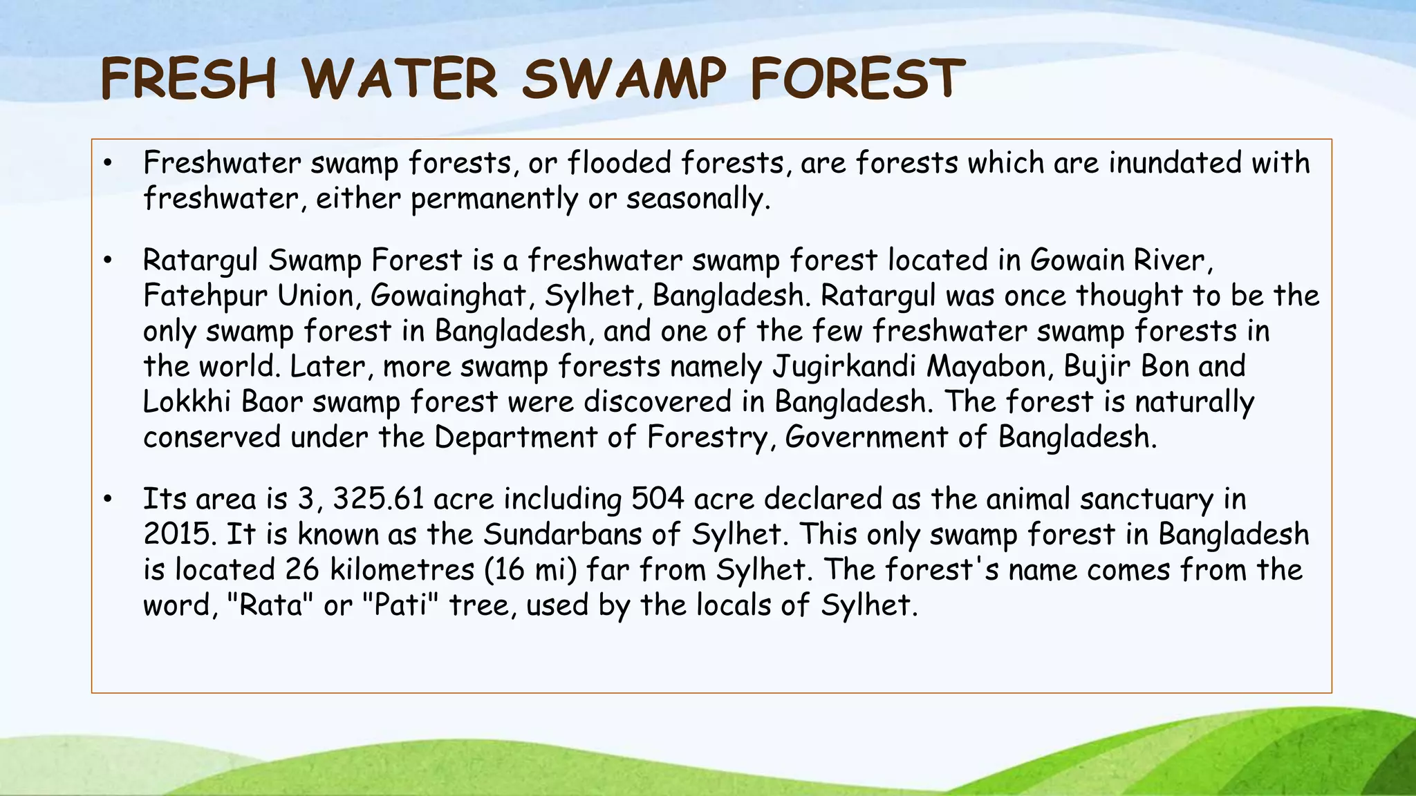 SWAMP FORESTS OF BANGLADESH.pptx