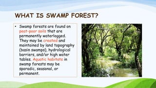 SWAMP FORESTS OF BANGLADESH.pptx