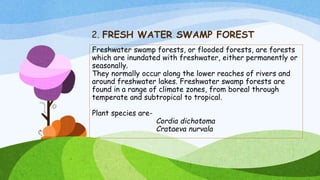 SWAMP FORESTS OF BANGLADESH.pptx