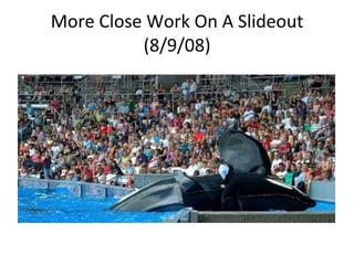 SeaWorld Working With Tili | PPT