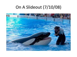 SeaWorld Working With Tili | PPT | Zoos & Aquariums | Attractions