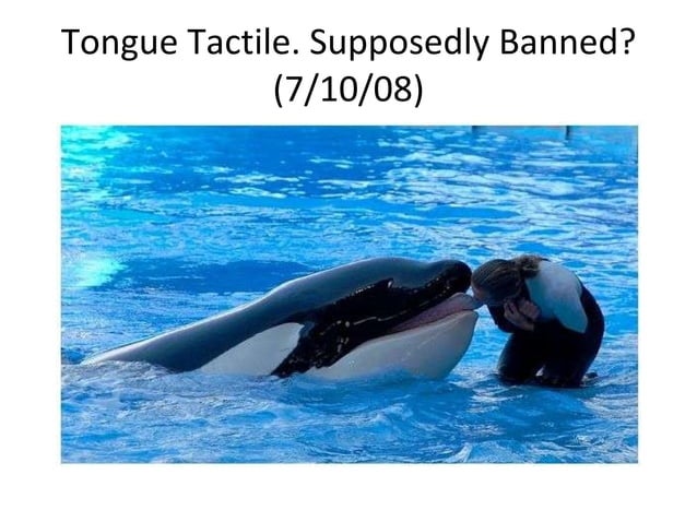 SeaWorld Working With Tili | PPT | Zoos & Aquariums | Attractions