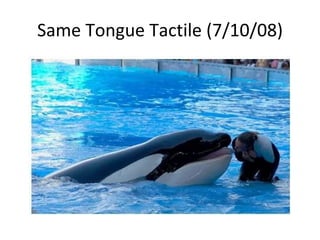 SeaWorld Working With Tili | PPT | Zoos & Aquariums | Attractions