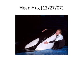 SeaWorld Working With Tili | PPT