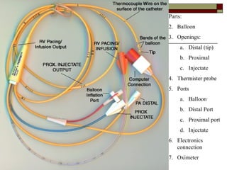Swan ganz intro | PPT