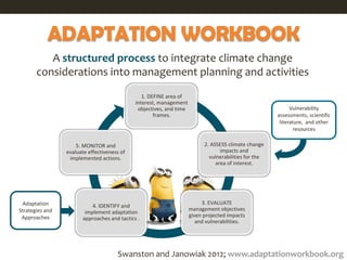 Adaptation Minions: Embracing diverse values, working with what you ...