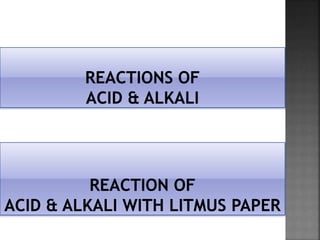 Acid & Alkali | PPT