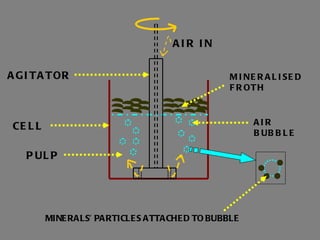 FROTH FLOTATION- SWAPNIL NIGAM | PPT