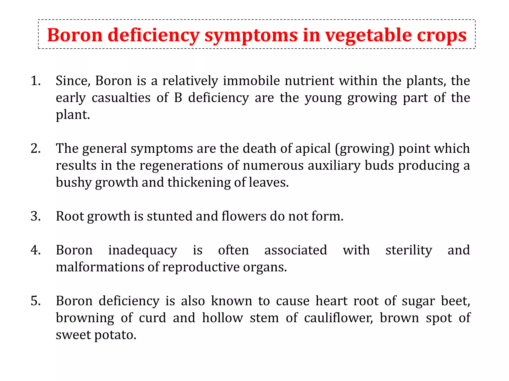 Importance and use of micro-nutrient 'Boron' in vegetable crops | PPTX