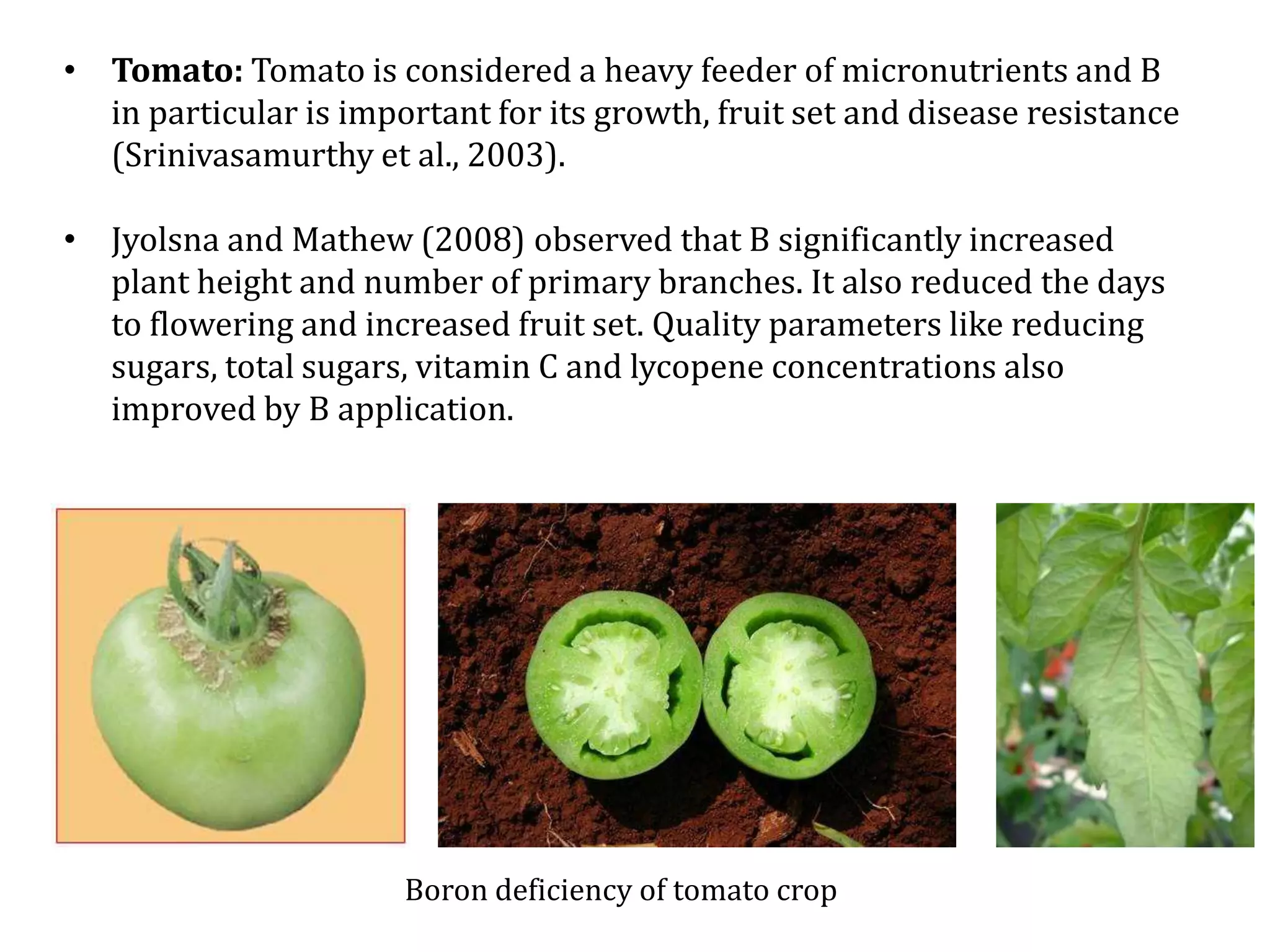 Importance and use of micro-nutrient 'Boron' in vegetable crops | PPTX